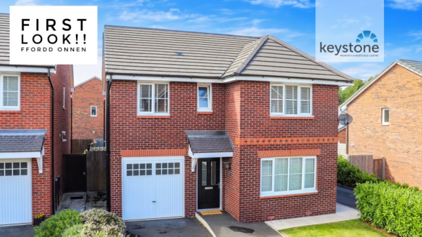 FIRST LOOK VIDEO 🎬Ffordd Onnen, Sychdyn 🏡