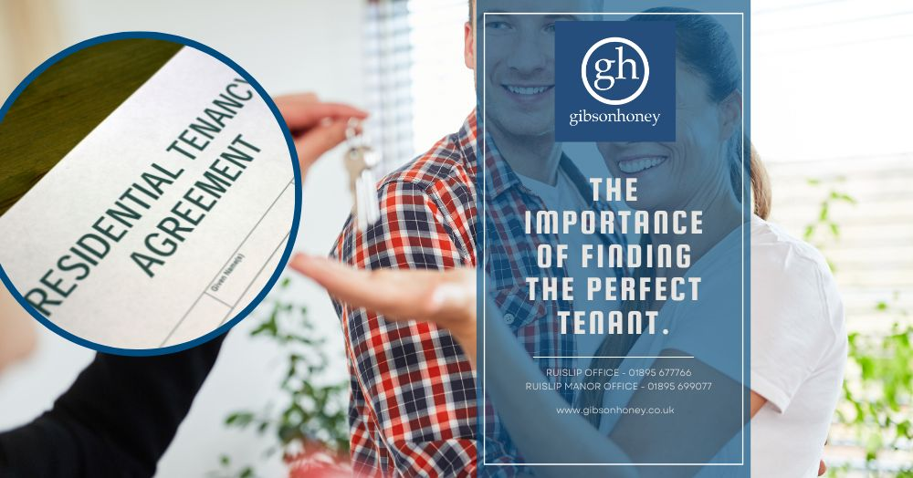 The importance of finding the perfect tenant.